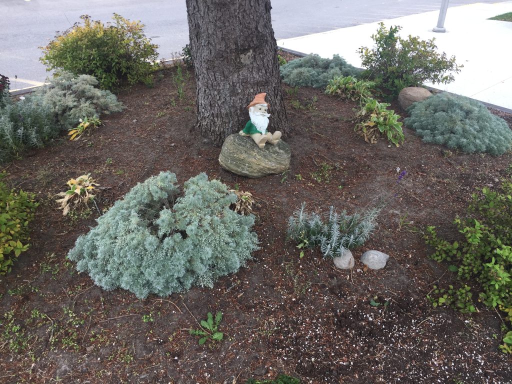 The Complex – Legion Crest