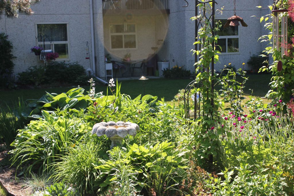 The Complex – Legion Crest