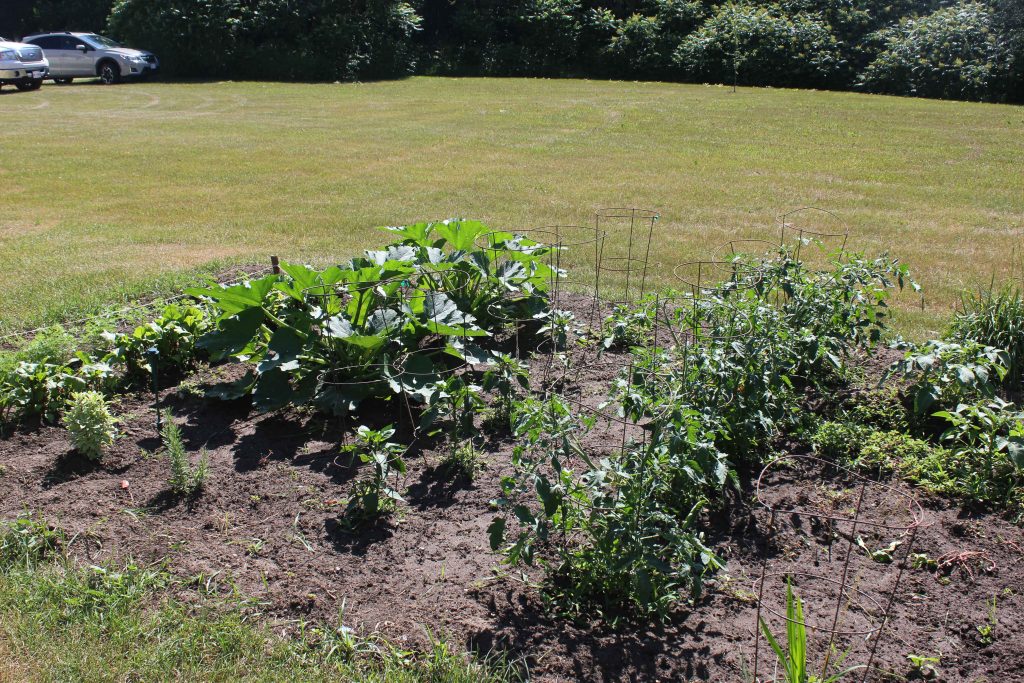 The Complex – Legion Crest