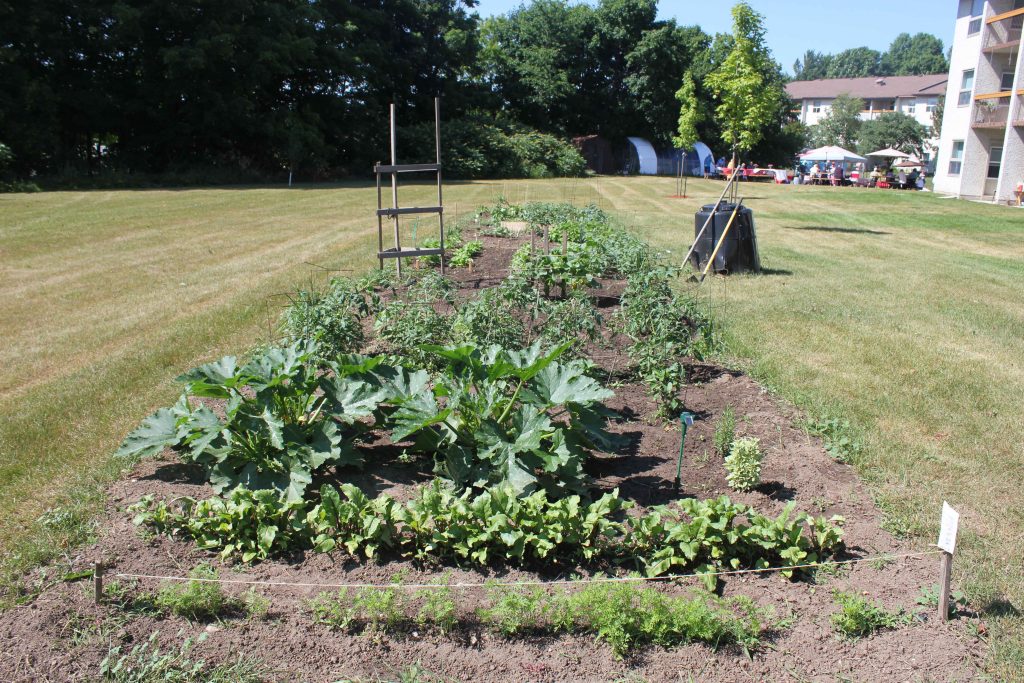 The Complex – Legion Crest