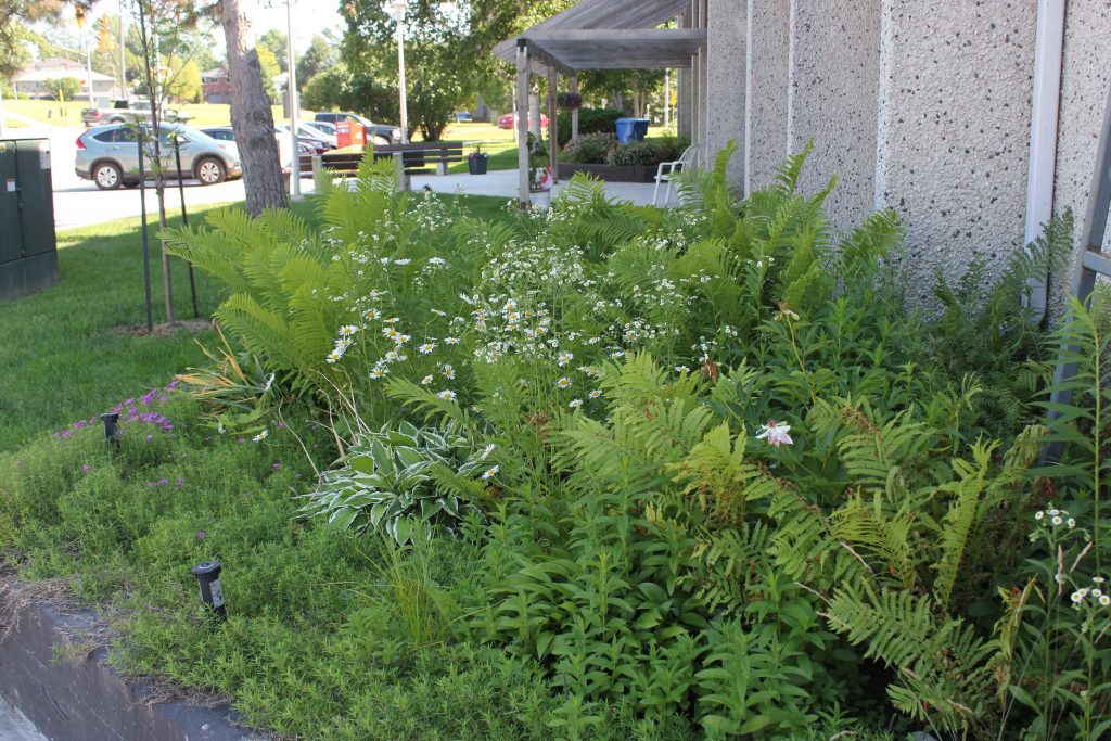 The Complex – Legion Crest